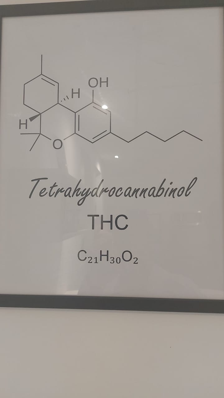 Saint Lucia Delegation Tours St. Vincent and the Grenadines Cannabis ...