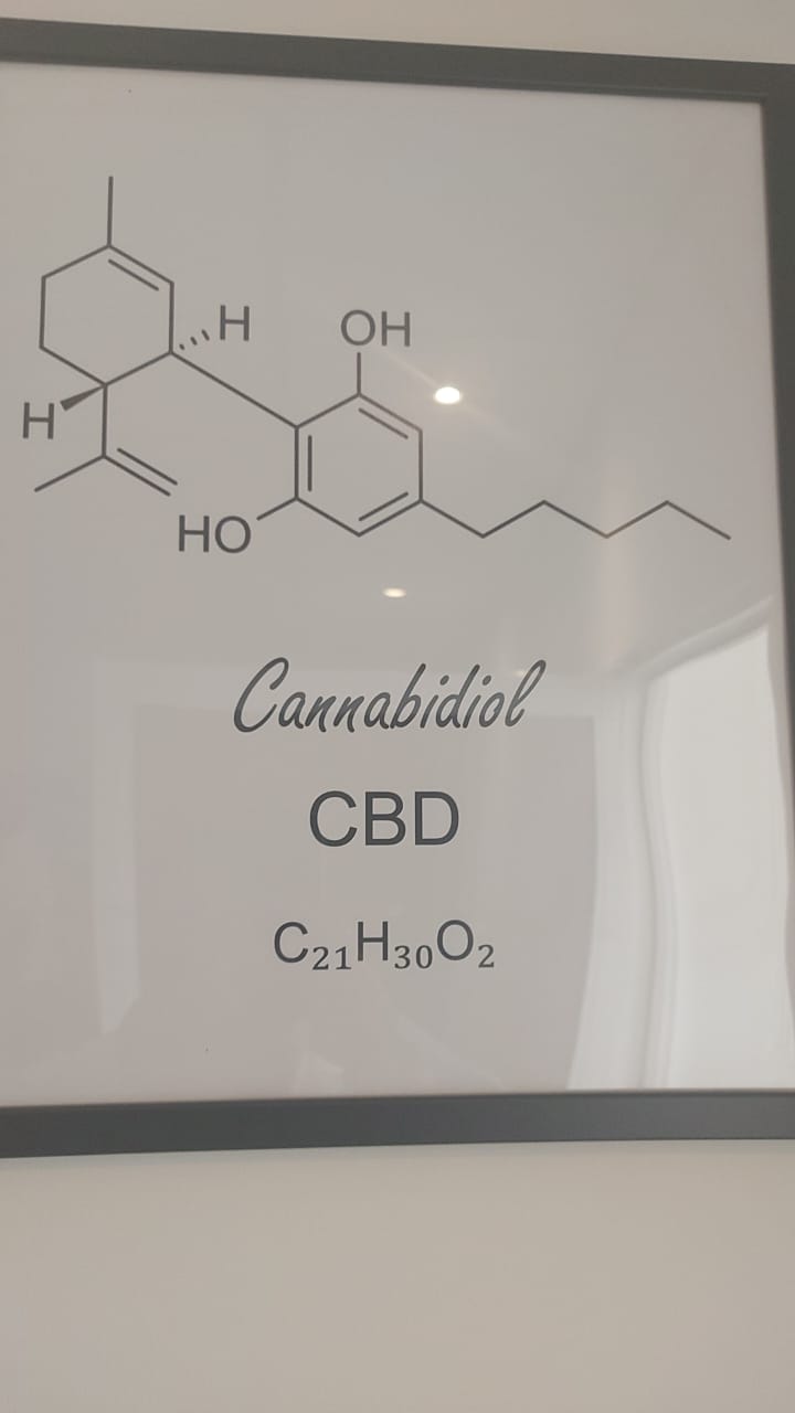 Saint Lucia Delegation Tours St. Vincent and the Grenadines Cannabis ...